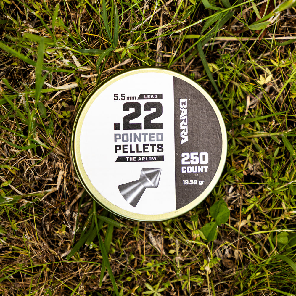 Arlow Pointed Tip .22 Caliber Pellets - 250 Count